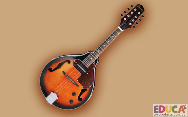 Mandolina | Historia, Literatura, Educación de Bolivia, Mapas