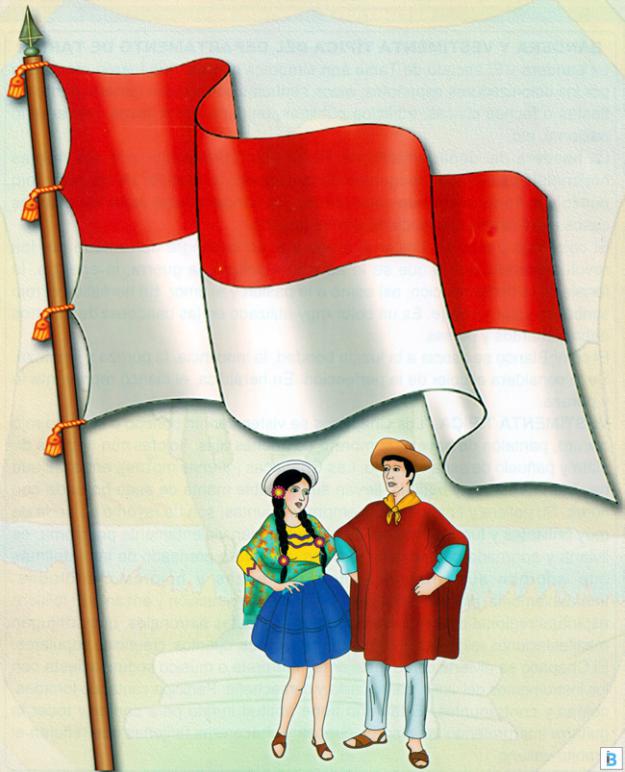 Bandera y vestimenta típica del departamento de Tarija | Historia ...